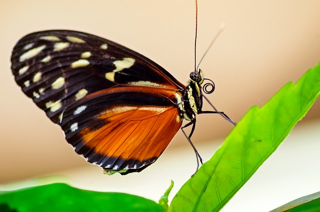 All the Shapes of Your Data - Seashore